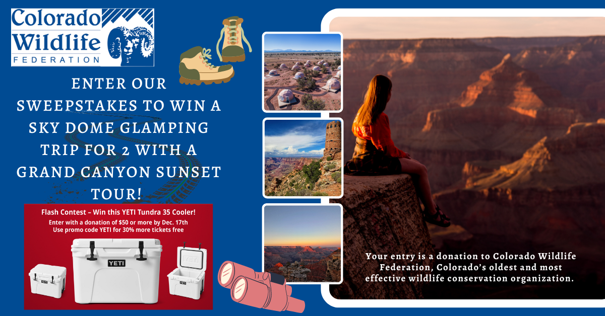 CO Energy and Carbon Mgmt Commission approves CPW high priority habitat ...